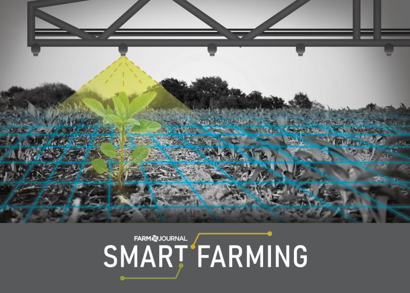 Selective Spraying: Consider This Before You Go All-In | AgWeb Selective Spraying: Consider This Before You Go All-In | AgWeb